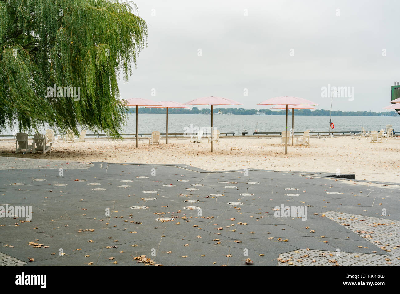 Tree, sand and Sugar Beach Park at Toronto, Canada Stock Photo - Alamy