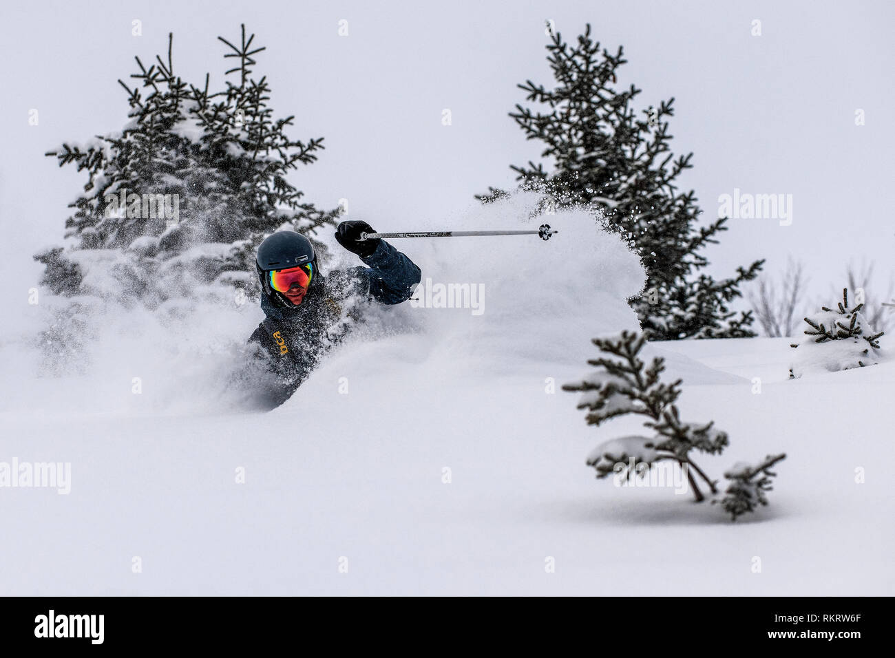 Man powder skiing in alps hi-res stock photography and images - Alamy