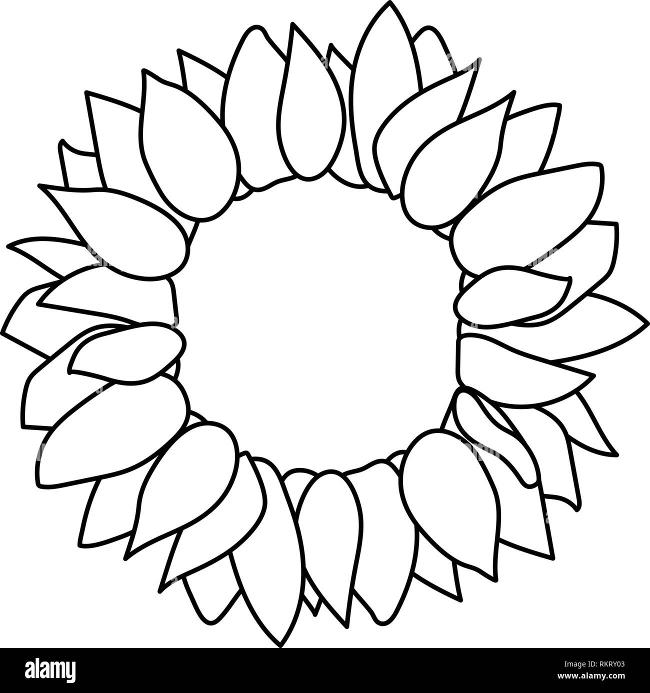 vector sunflower seed head outline flower icon Stock Vector Image & Art ...