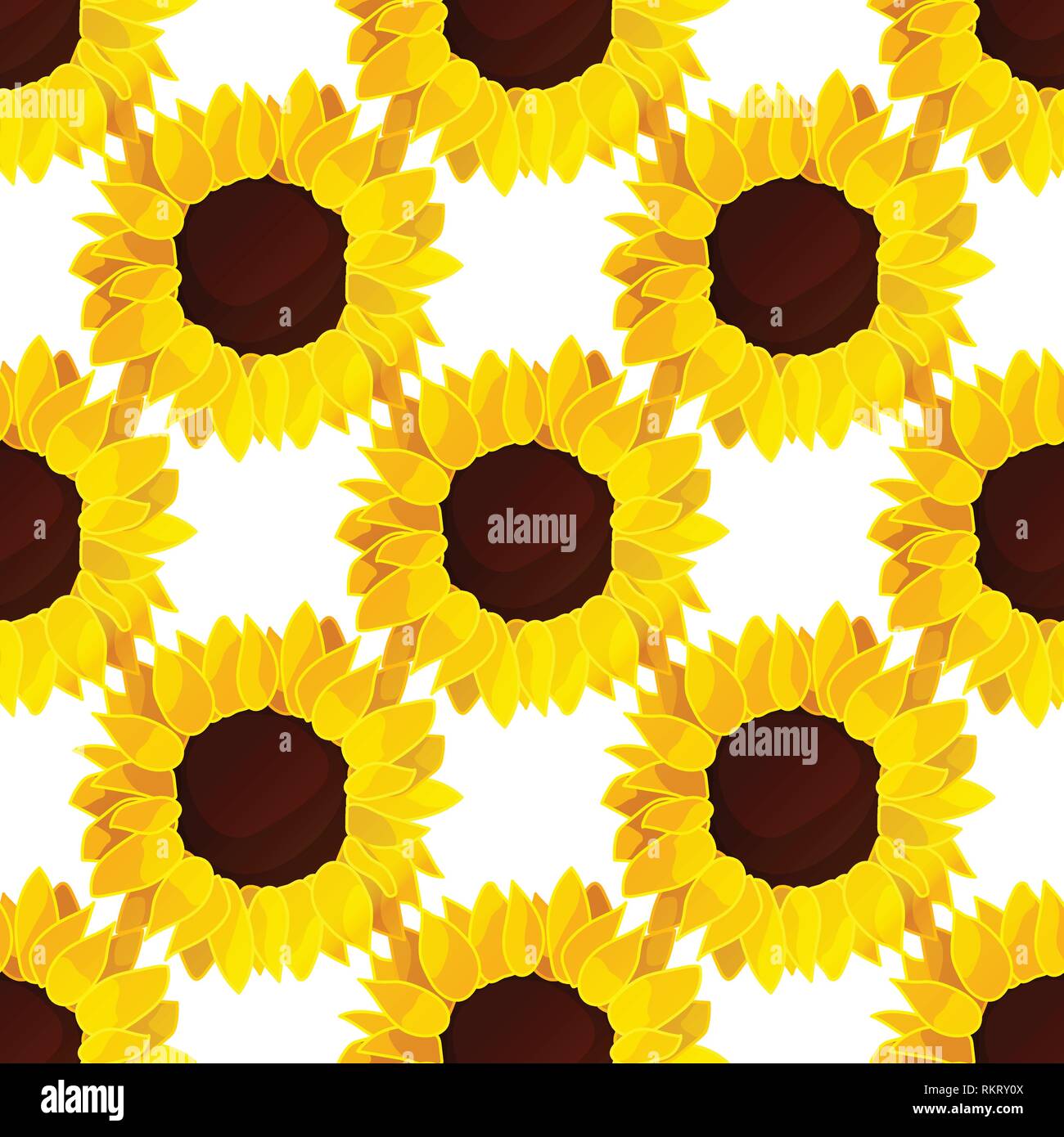 Sunflower top view Stock Vector Images - Alamy