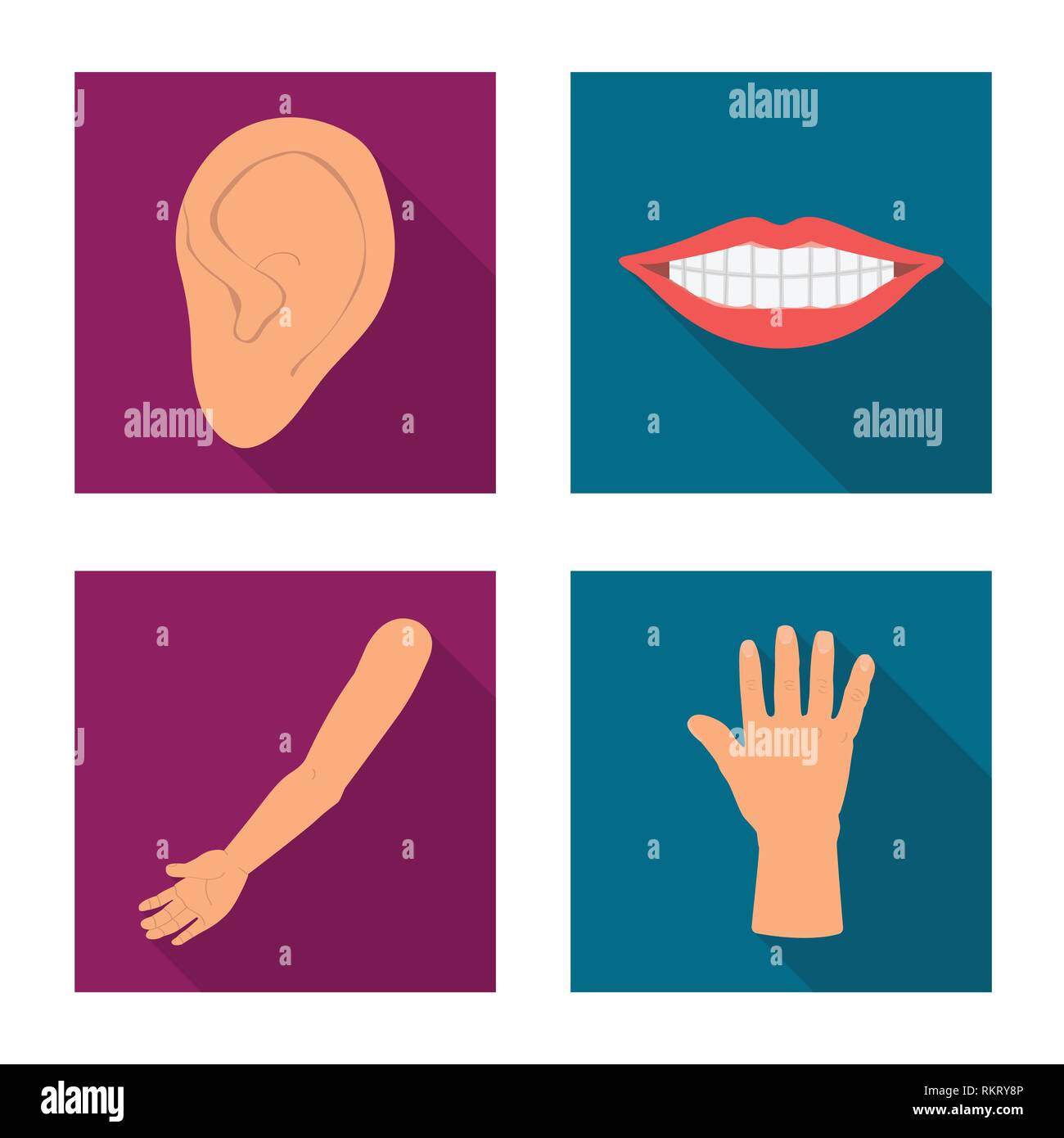 Isolated object of body and part symbol. Collection of body and anatomy ...