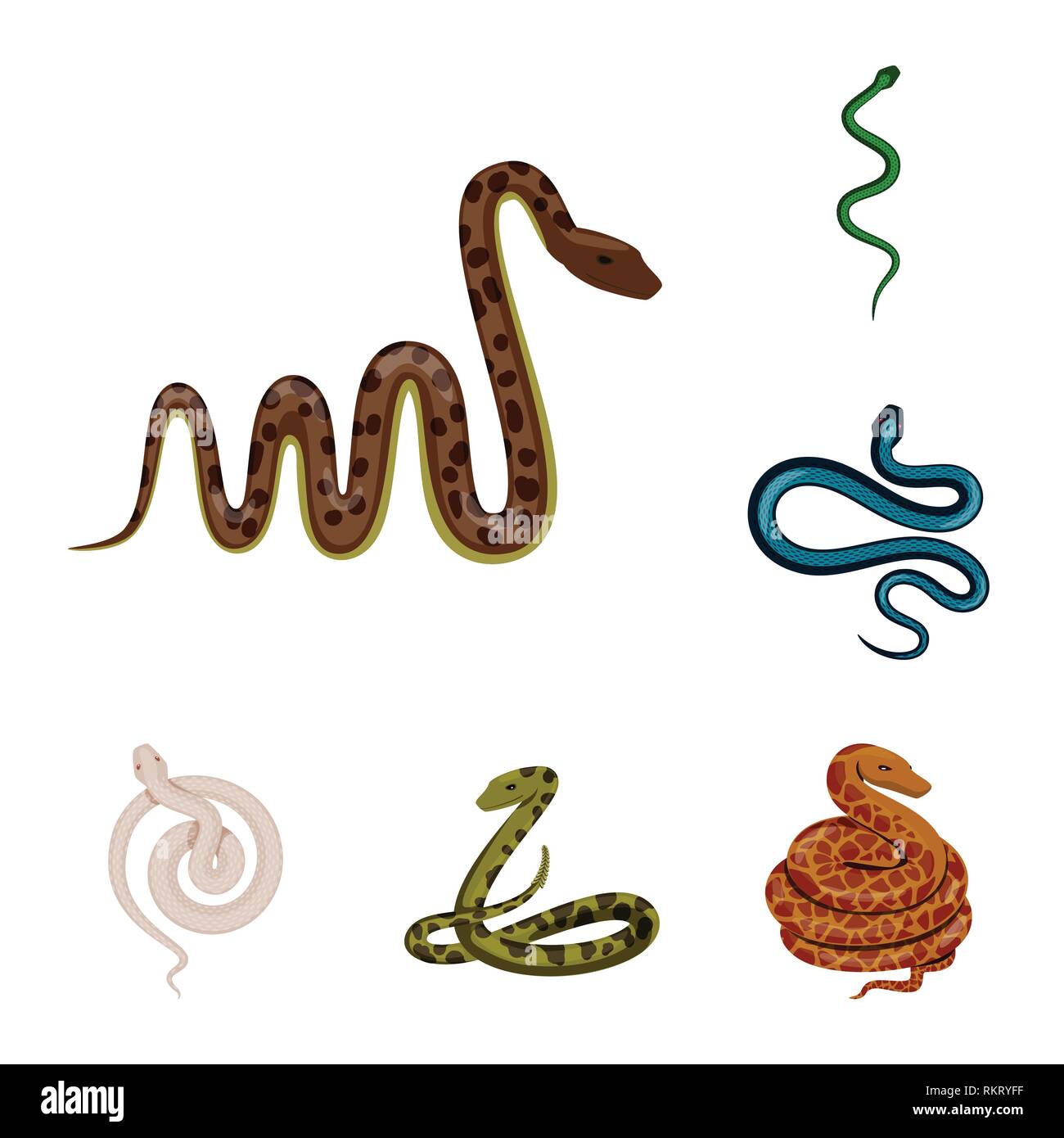 Large anaconda Stock Vector Images - Alamy