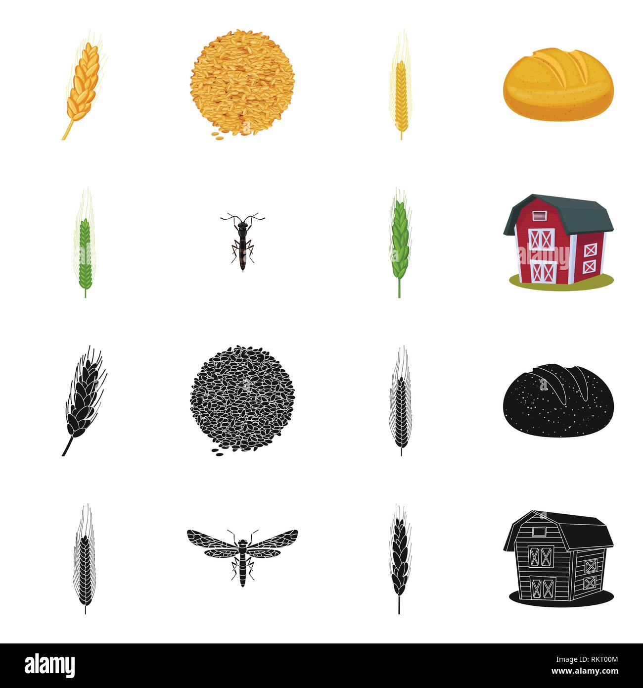 spring,bread,fly,granary,spike,seeds,winter,insect,building,durum,crop ...