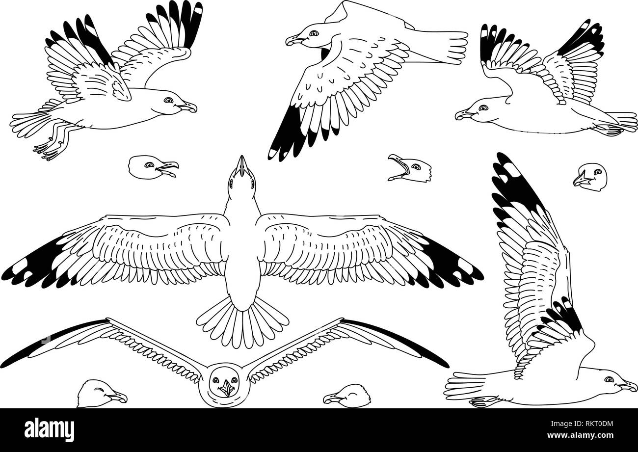 Set nautical cartoon doodle Black and White Stock Photos & Images - Alamy