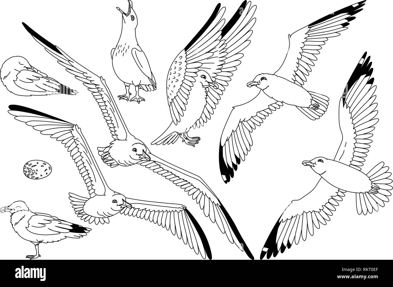 vector cartoon seagull sea gull cliparts set Stock Vector Image & Art ...