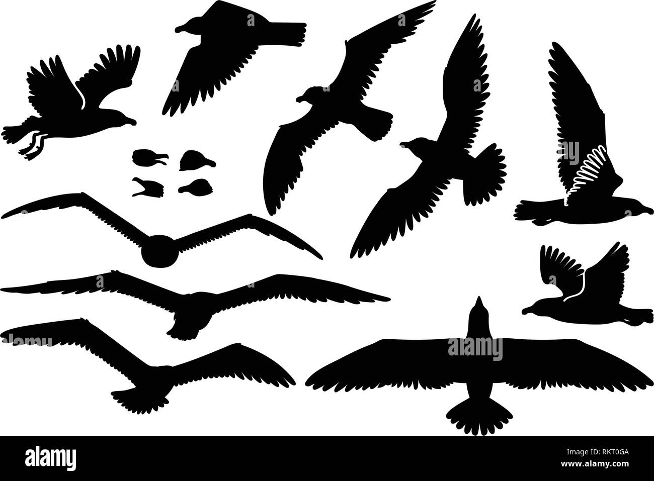 vector cartoon seagull sea gull cliparts set Stock Vector Image & Art ...