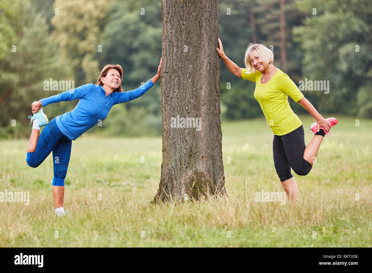 Two senior women do stretching exercises on a tree Stock Photo - Alamy