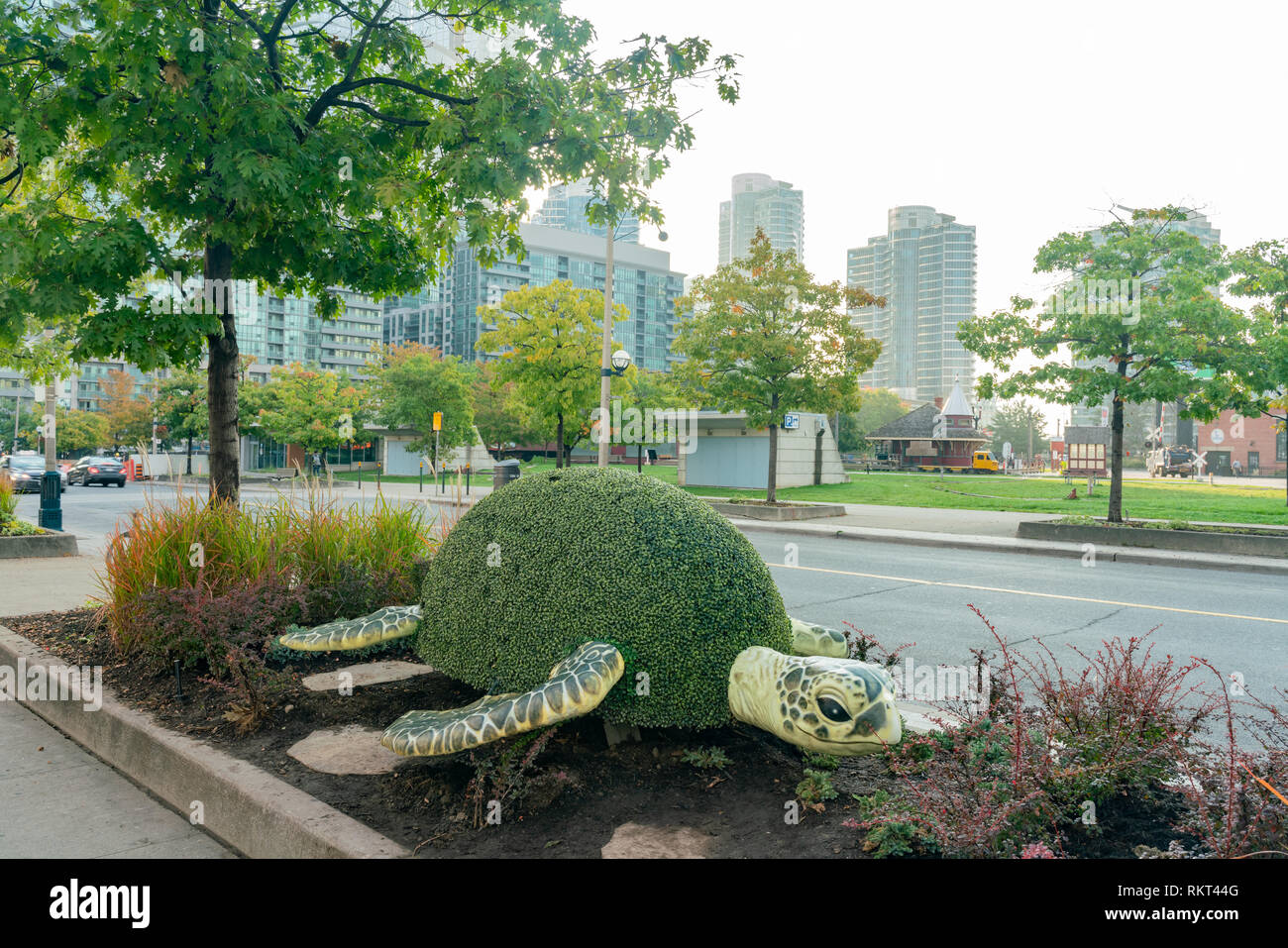 Turtle shape bush gardening in downtown at Toronto, Canada Stock Photo ...
