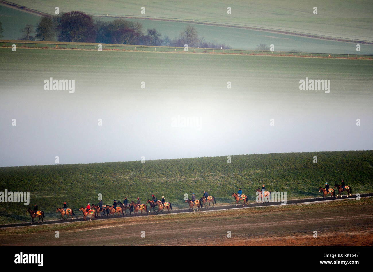 Race horses are exercised on the gallops in Lambourn, Berkshire Stock ...