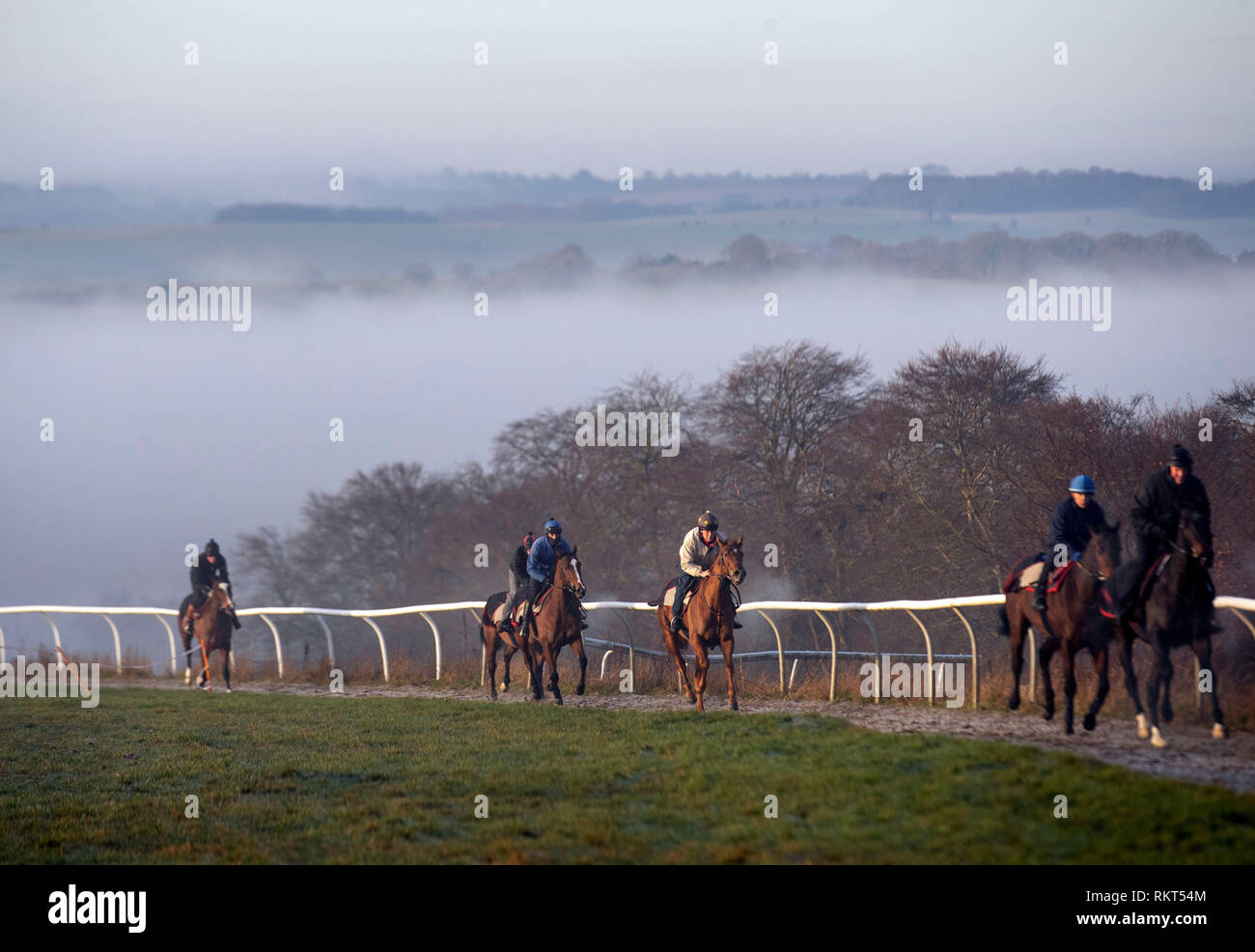 Race horses are exercised on the gallops in Lambourn, Berkshire Stock ...