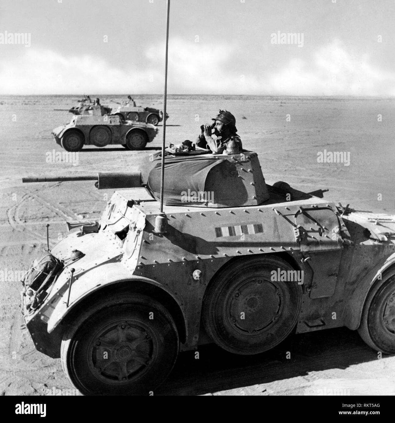 Italo abyssinian hi-res stock photography and images - Alamy