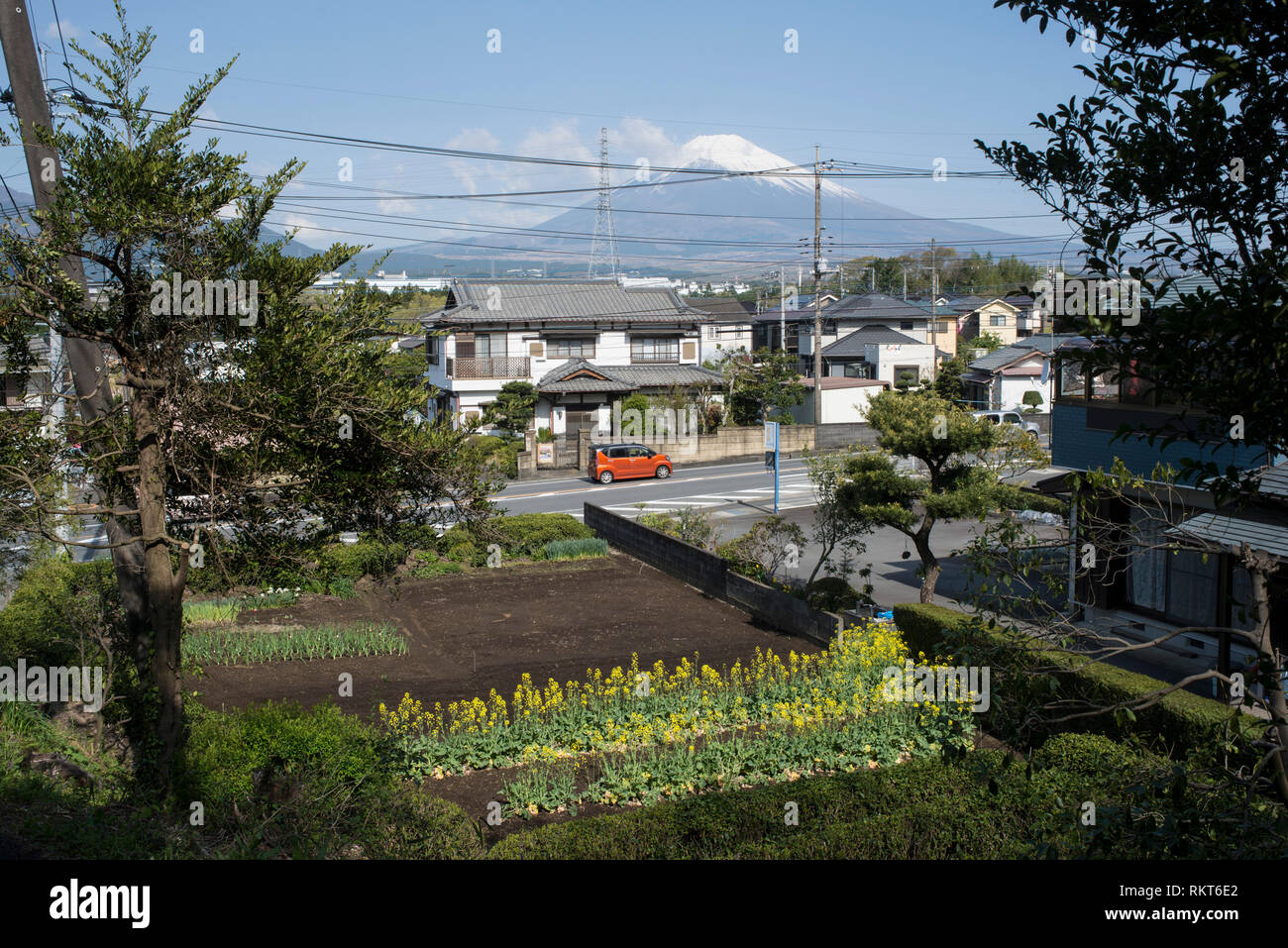 Japan, Susono: " Mount Fuji viewed from Iwanami *** Local Caption ...