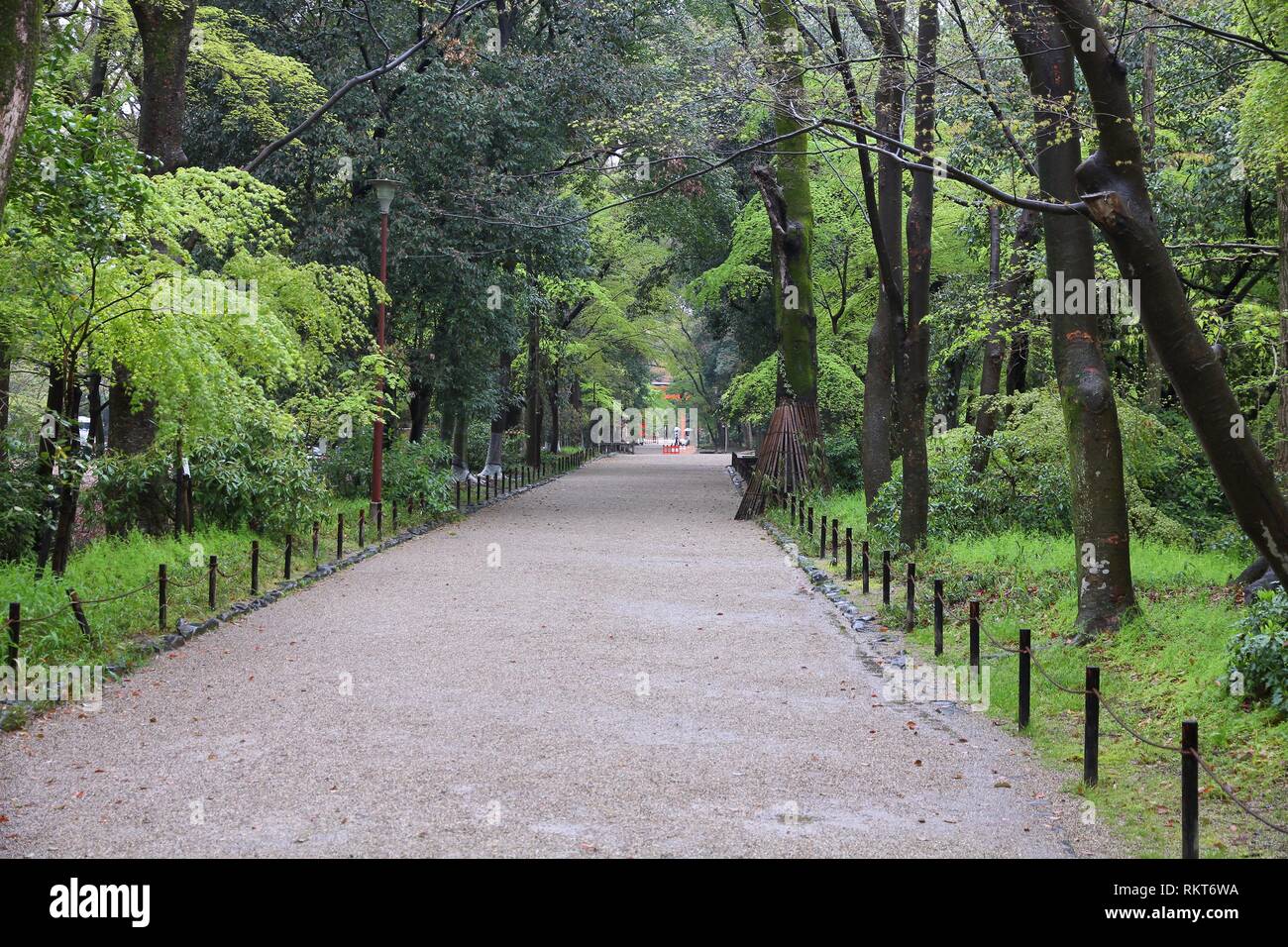 Kyoto, Japan - forest of Shimogamo gardens. Park footpath Stock Photo ...