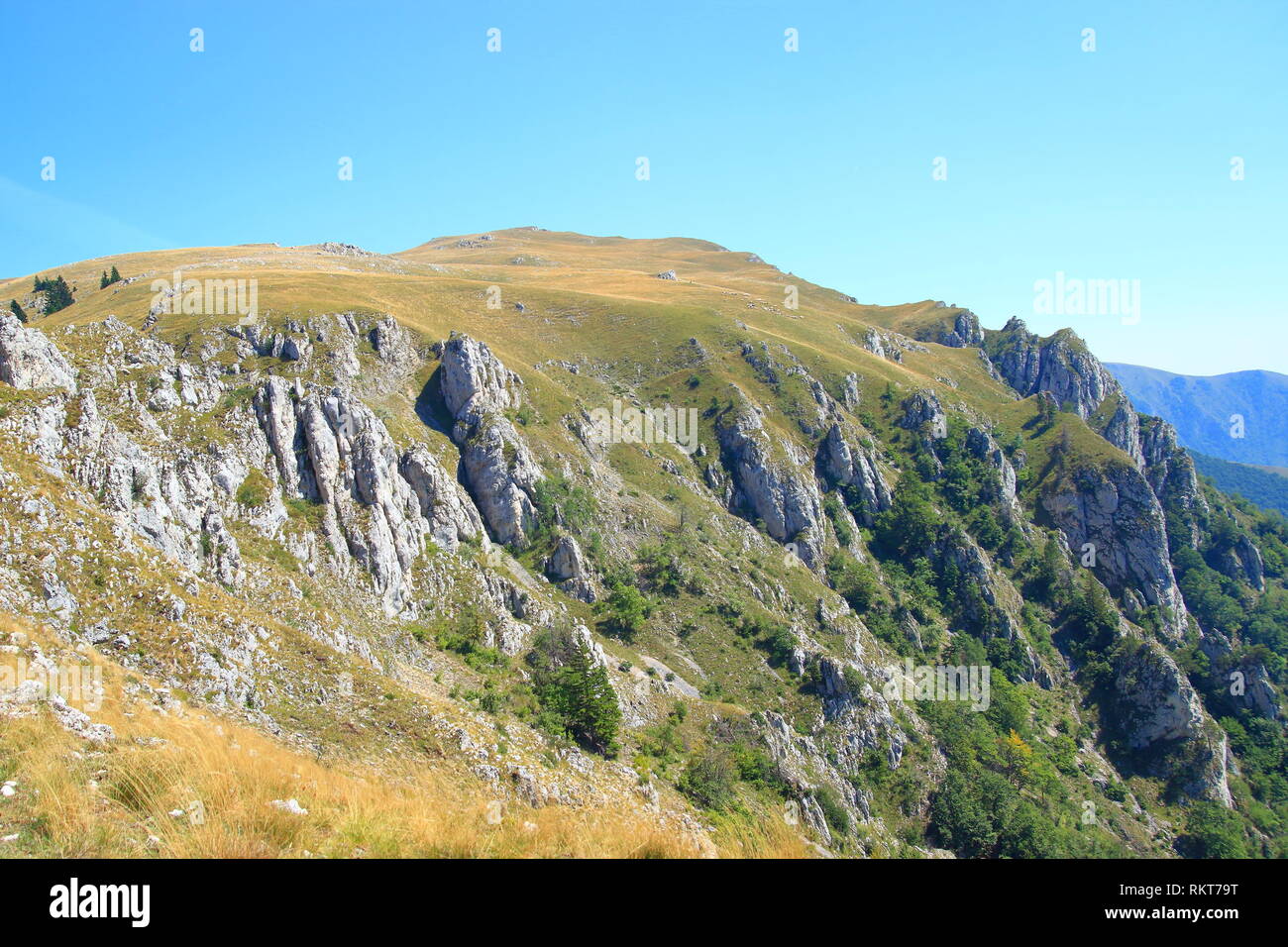 Vlasic hi-res stock photography and images - Alamy