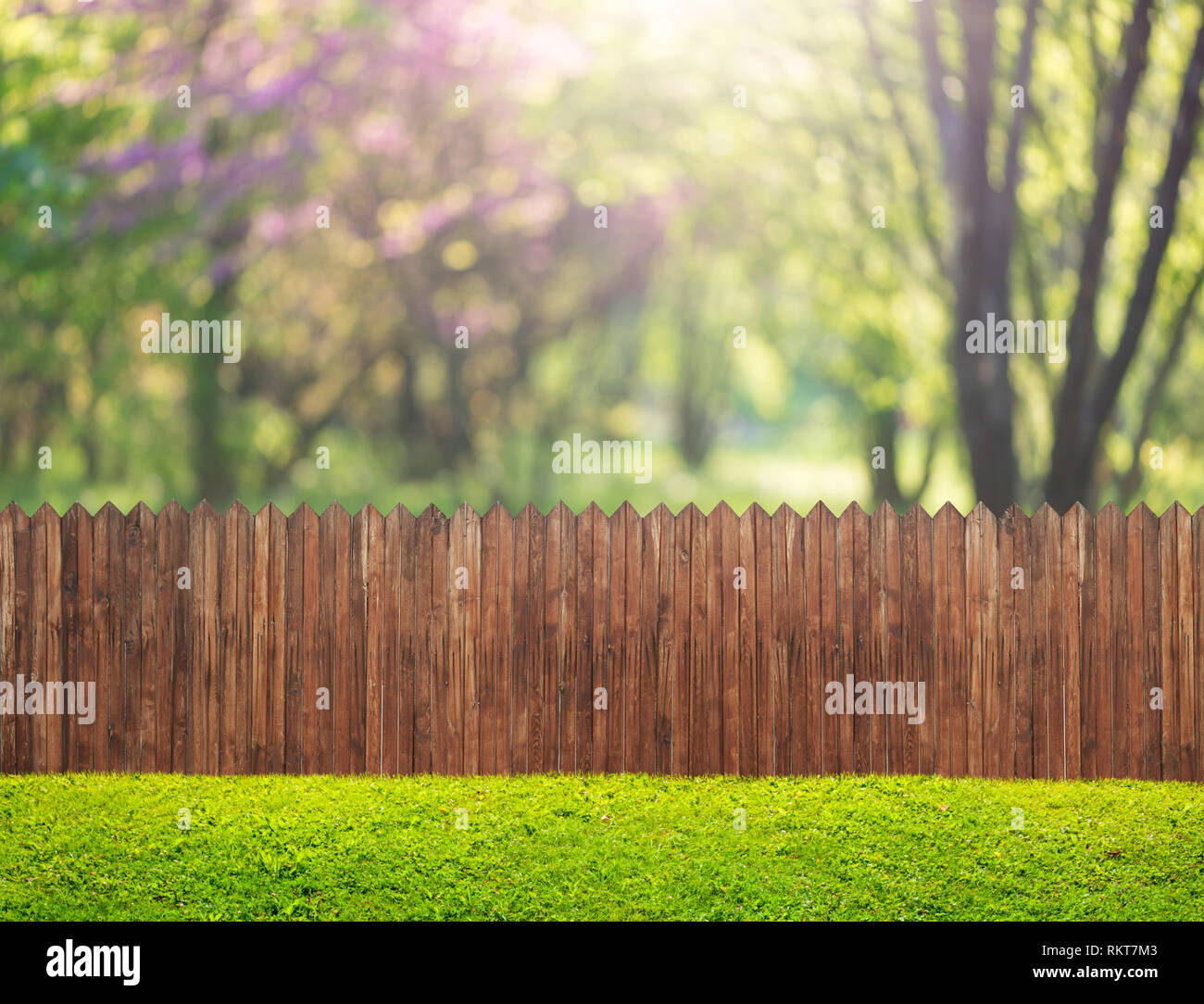 wooden garden fence at backyard and bloom tree in spring Stock Photo ...