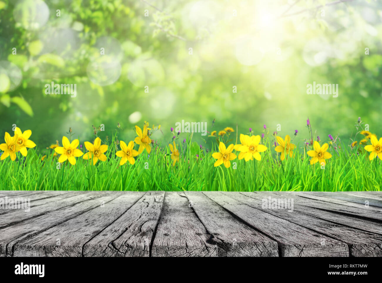 wooden table and spring grass with flowers and tree leaves background ...