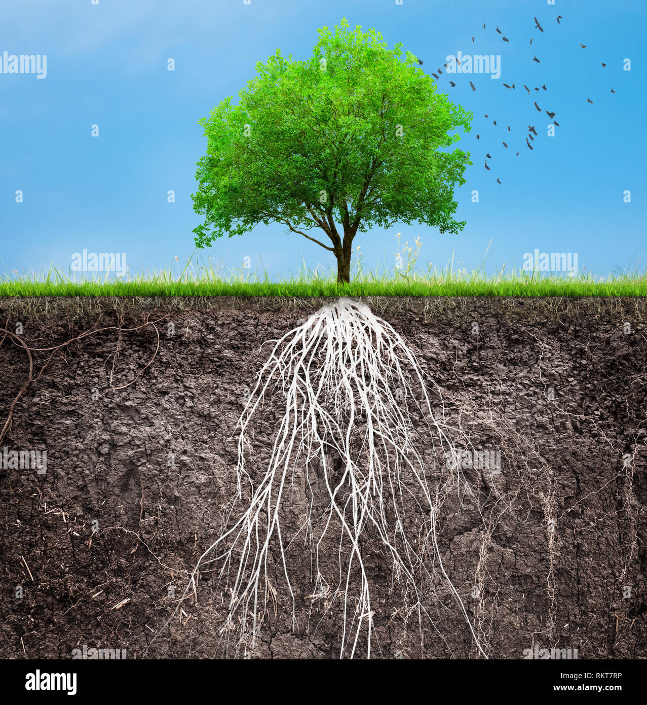 tree and soil with roots and grass 3D illustration Stock Photo - Alamy