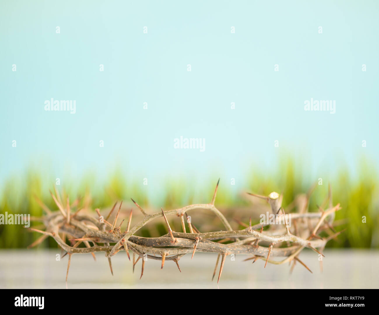 crown of thorns and grass easter background Stock Photo - Alamy