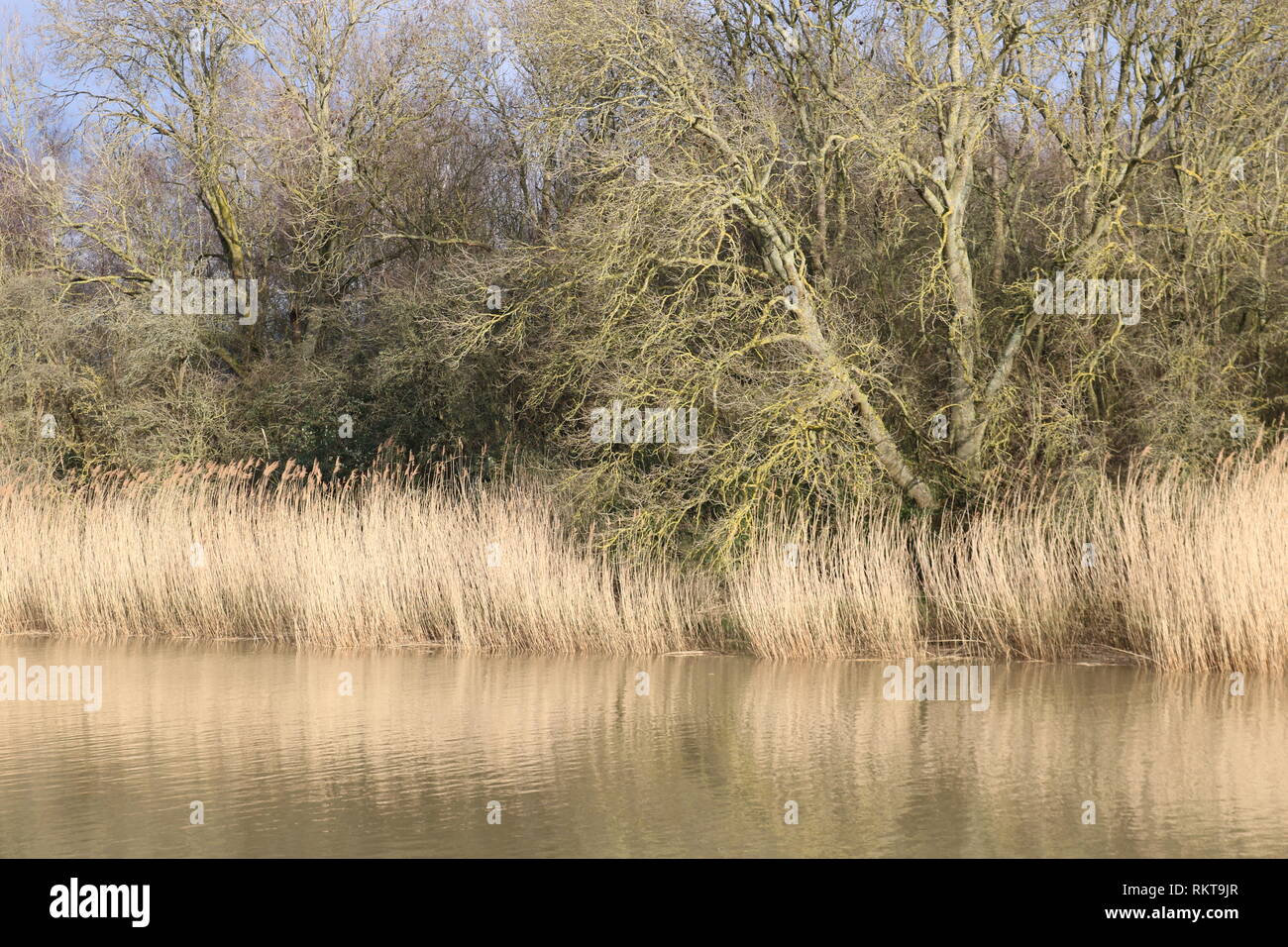 New Hythe , Kent Stock Photo - Alamy