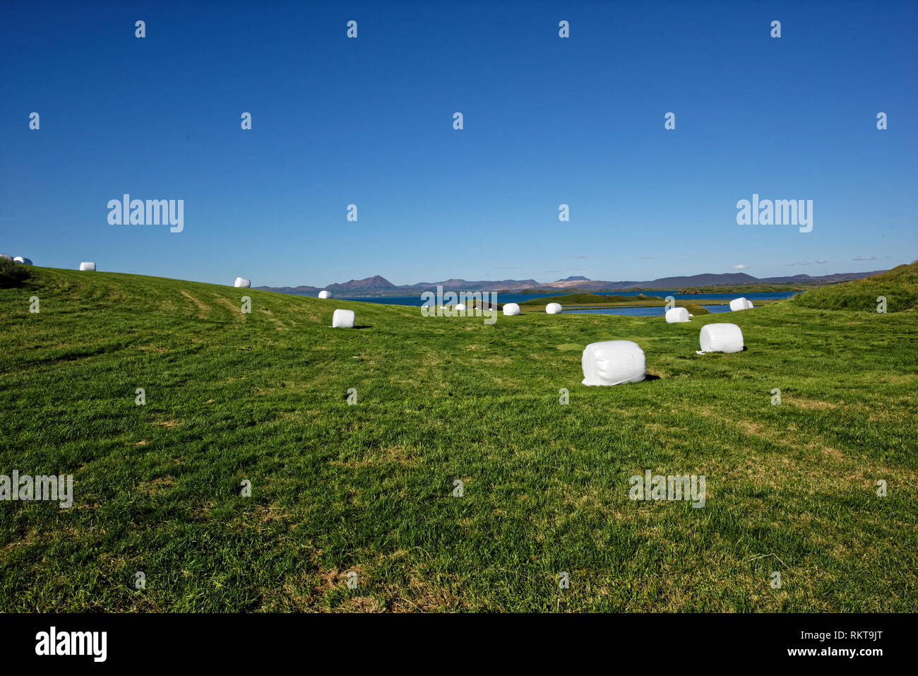 Hay Bales wrapped in Plastic in a Field,Akureyri North Iceland Stock ...