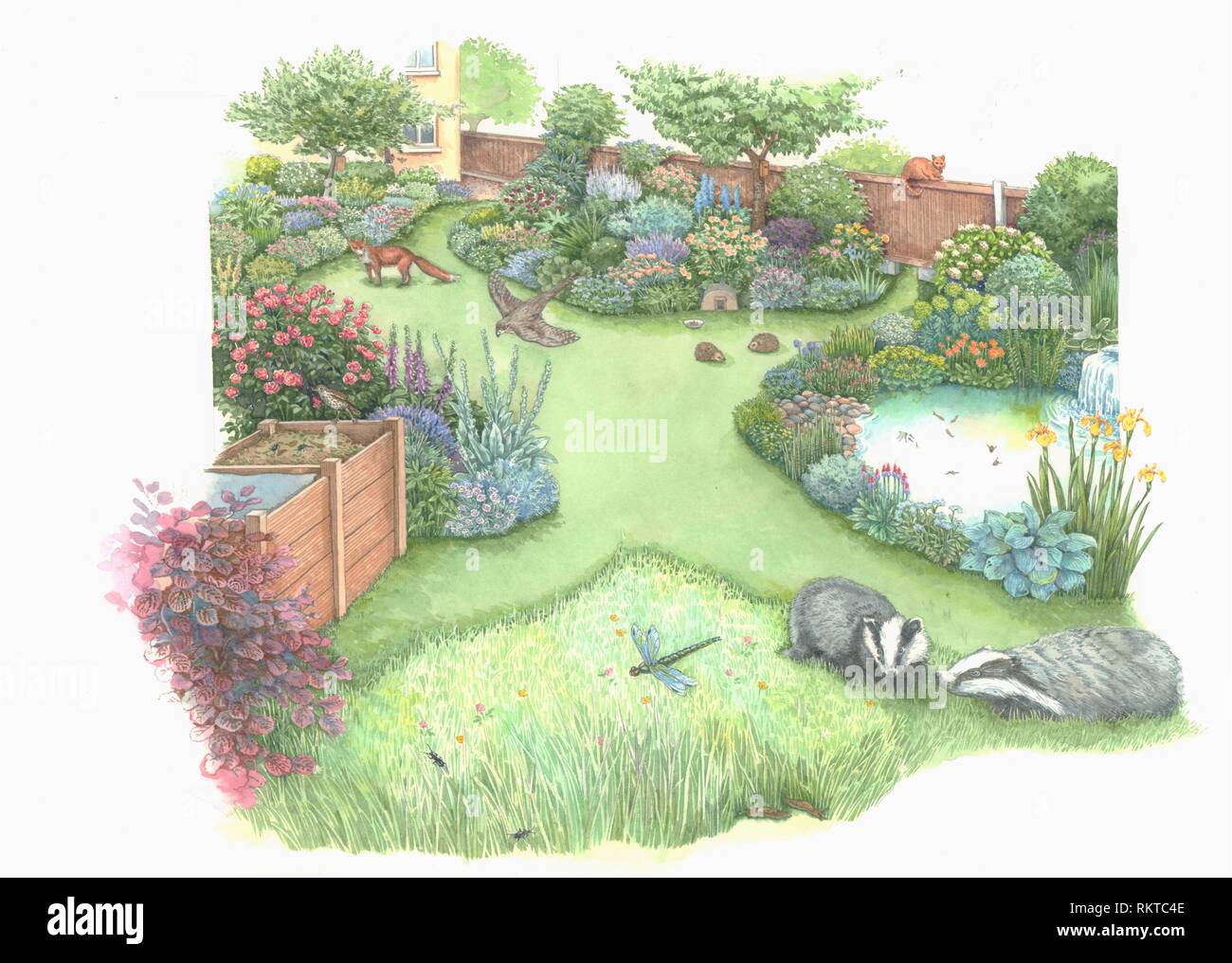 Various wild cats hi-res stock photography and images - Alamy