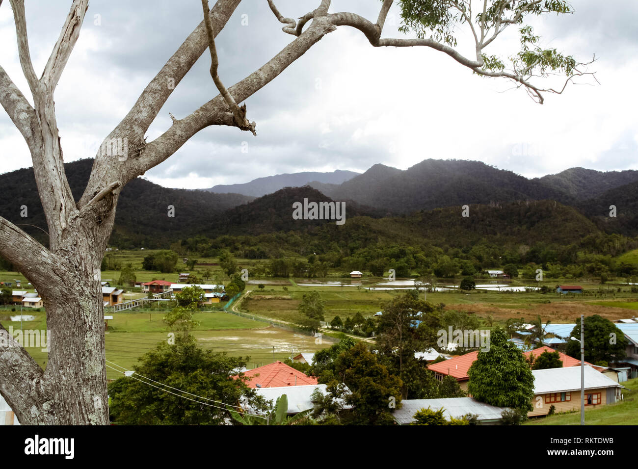 The village of Bario. Surrounded by mountains and rainforest. Bario ...