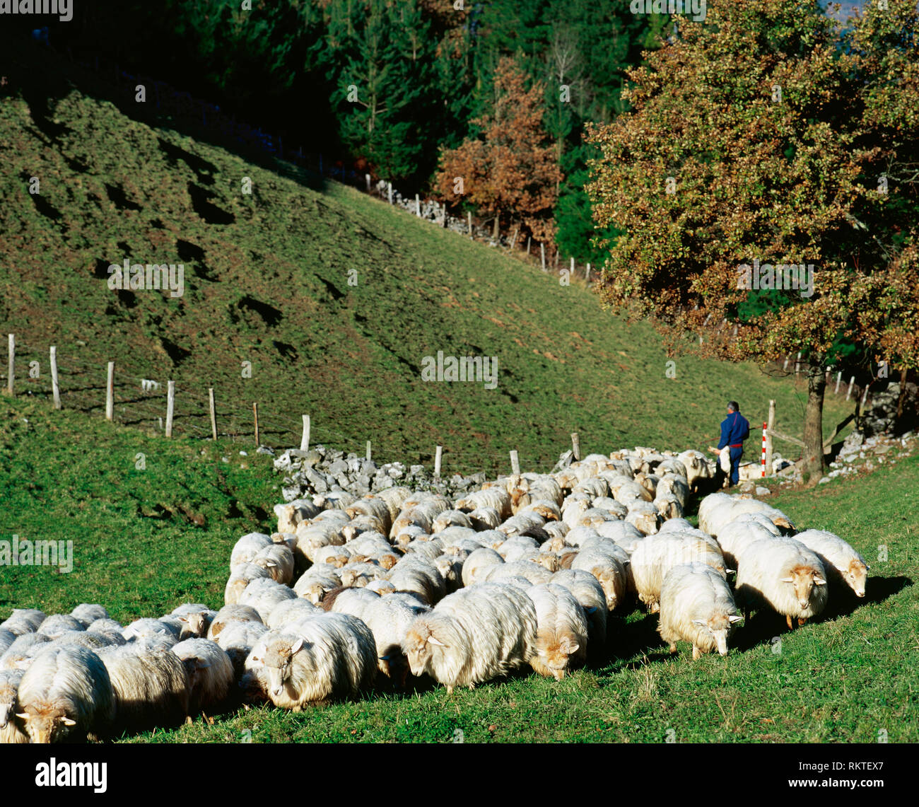 Caring for country hi-res stock photography and images - Alamy