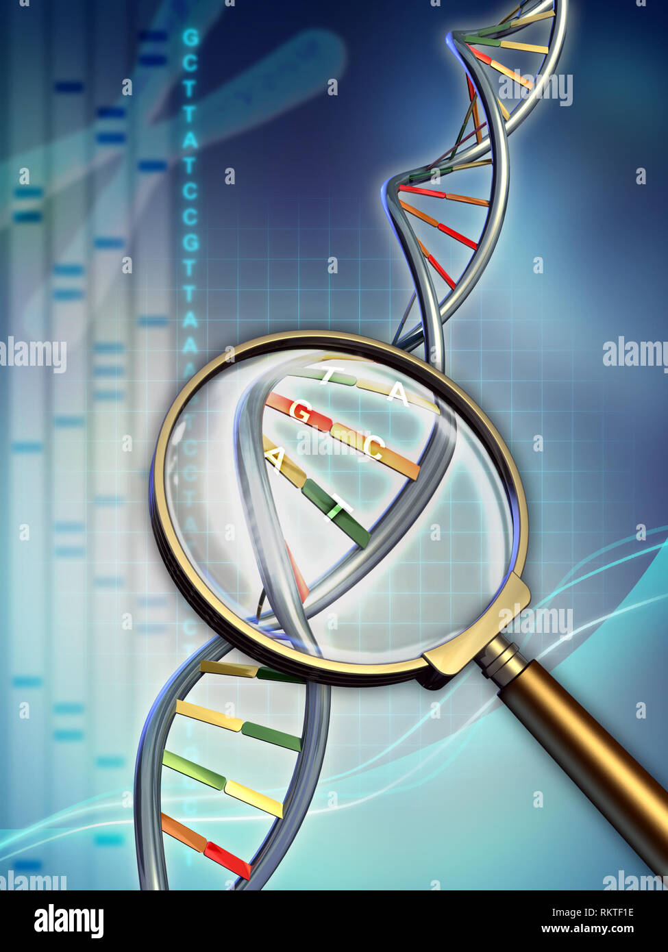 Dna chain examined under a magnifying glass. Digital illustration Stock ...