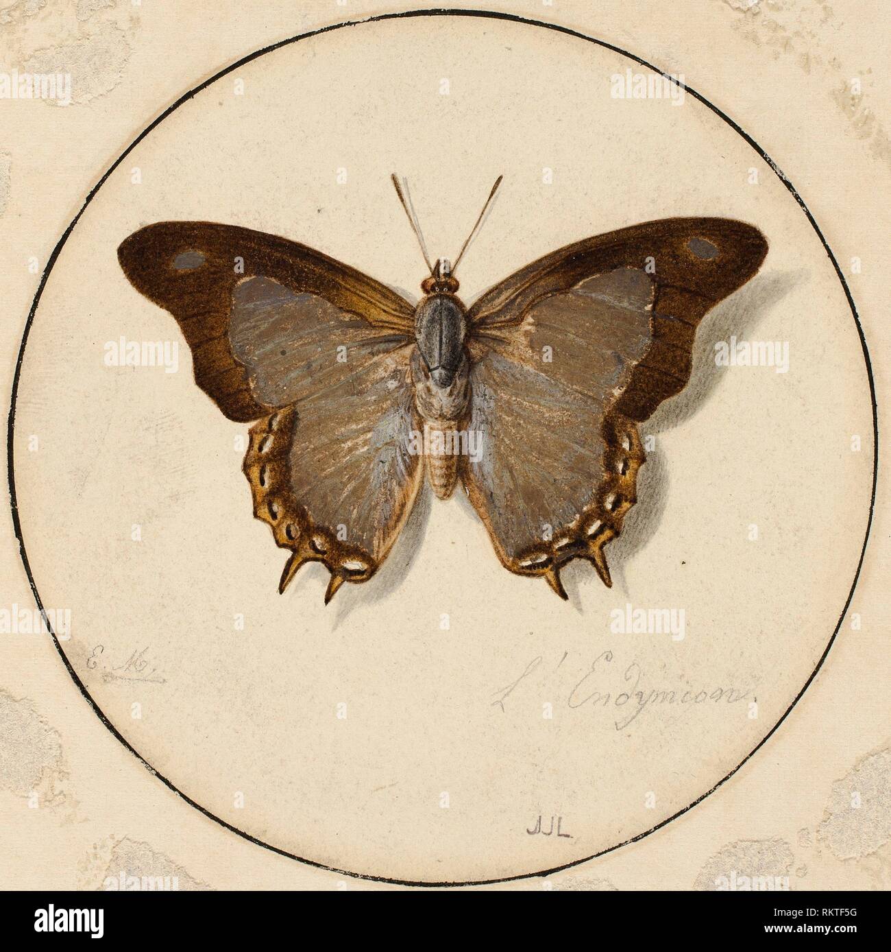 L'Endymien - Jean Louis Ernest Meissonier French, 1815-1891 - Artist ...