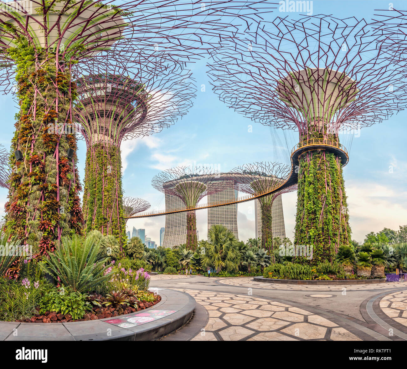 Supertrees singapur wahrzeichen hi-res stock photography and images - Alamy