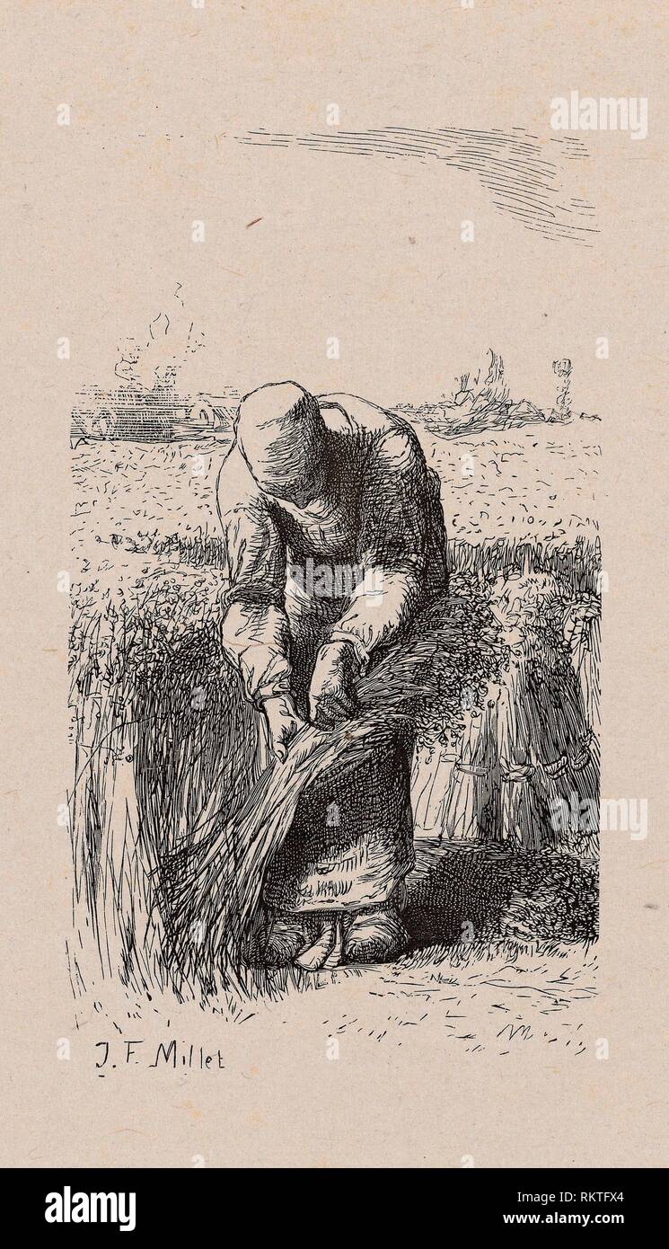 Flax drawing hi-res stock photography and images - Alamy