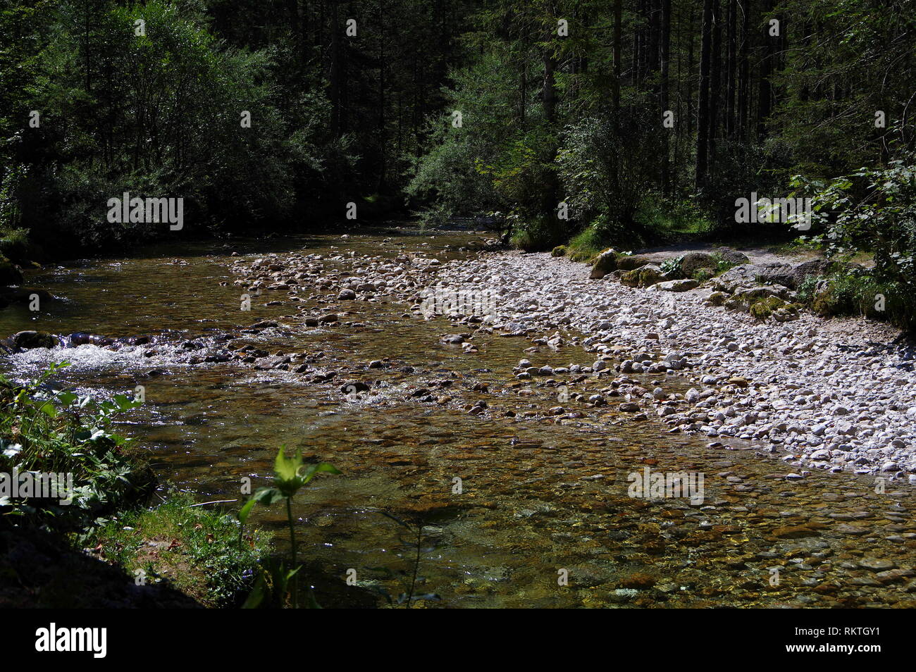 Beautiful nature running river hi-res stock photography and images - Alamy