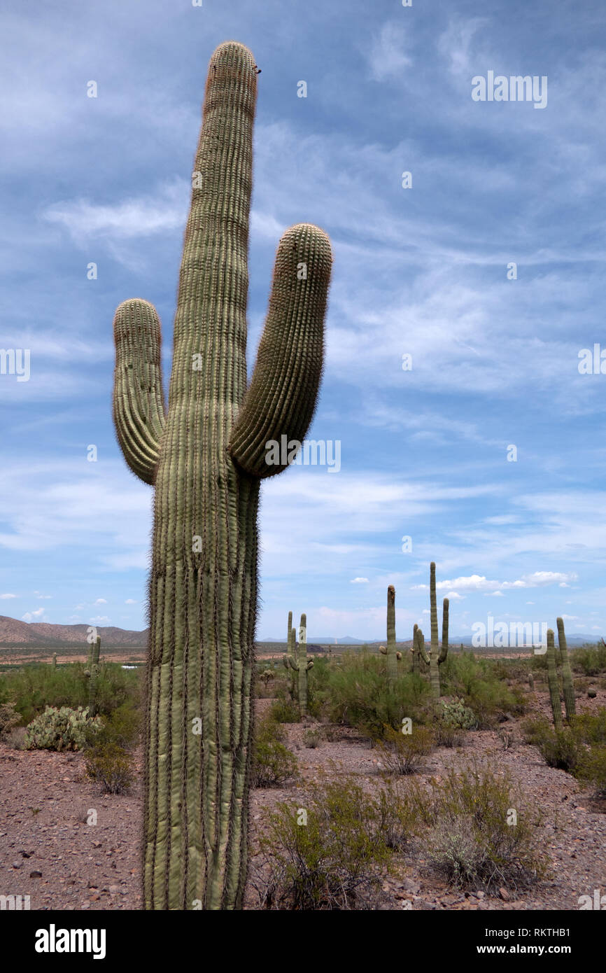 Beautiful scenic view western american wilderness wild west nature ...