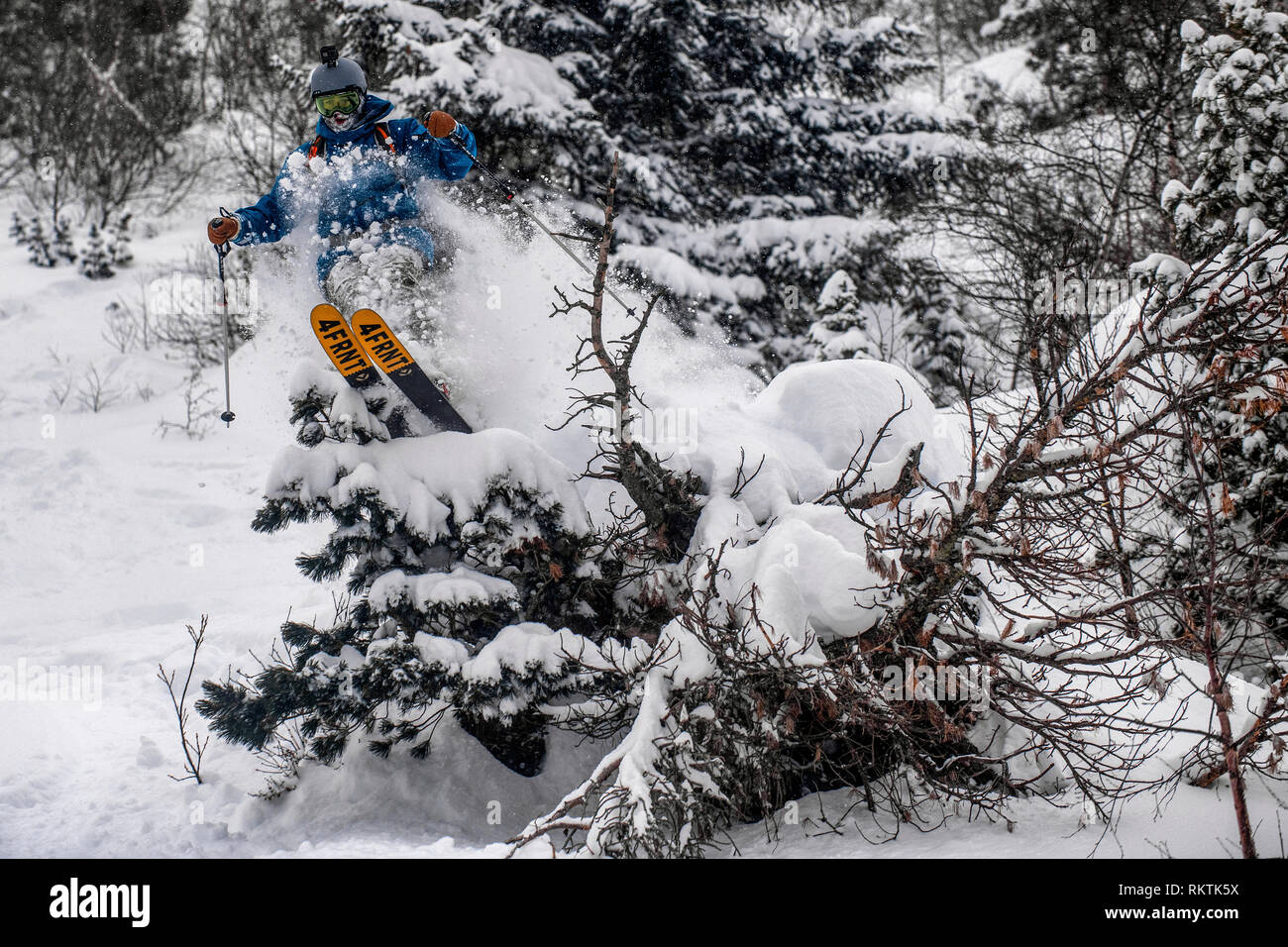Jumping off tree hi-res stock photography and images - Alamy