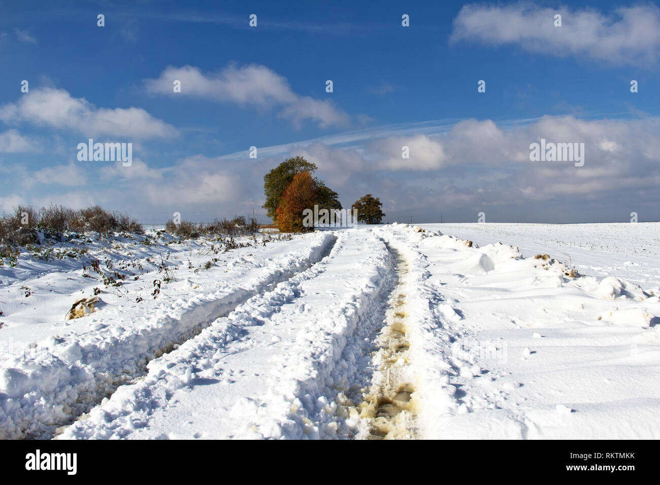 Winter landscape / Fields covered with the first snow Stock Photo - Alamy