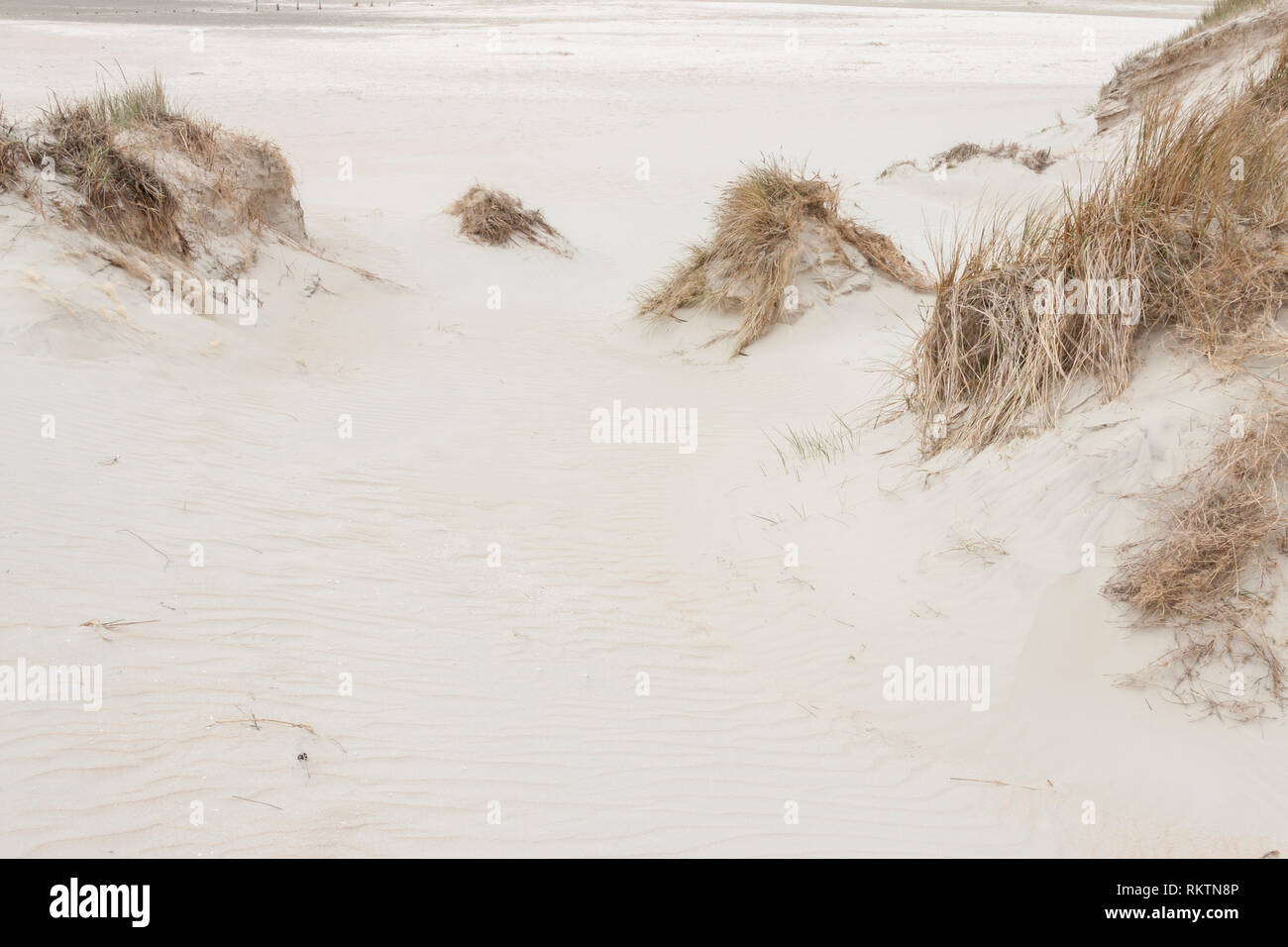 Beach on Romo Island. Denmark, Europe Stock Photo - Alamy