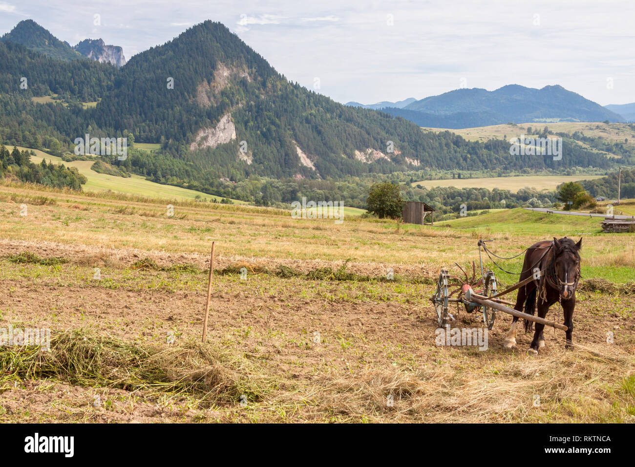 Hard work in field - rural view Stock Photo - Alamy