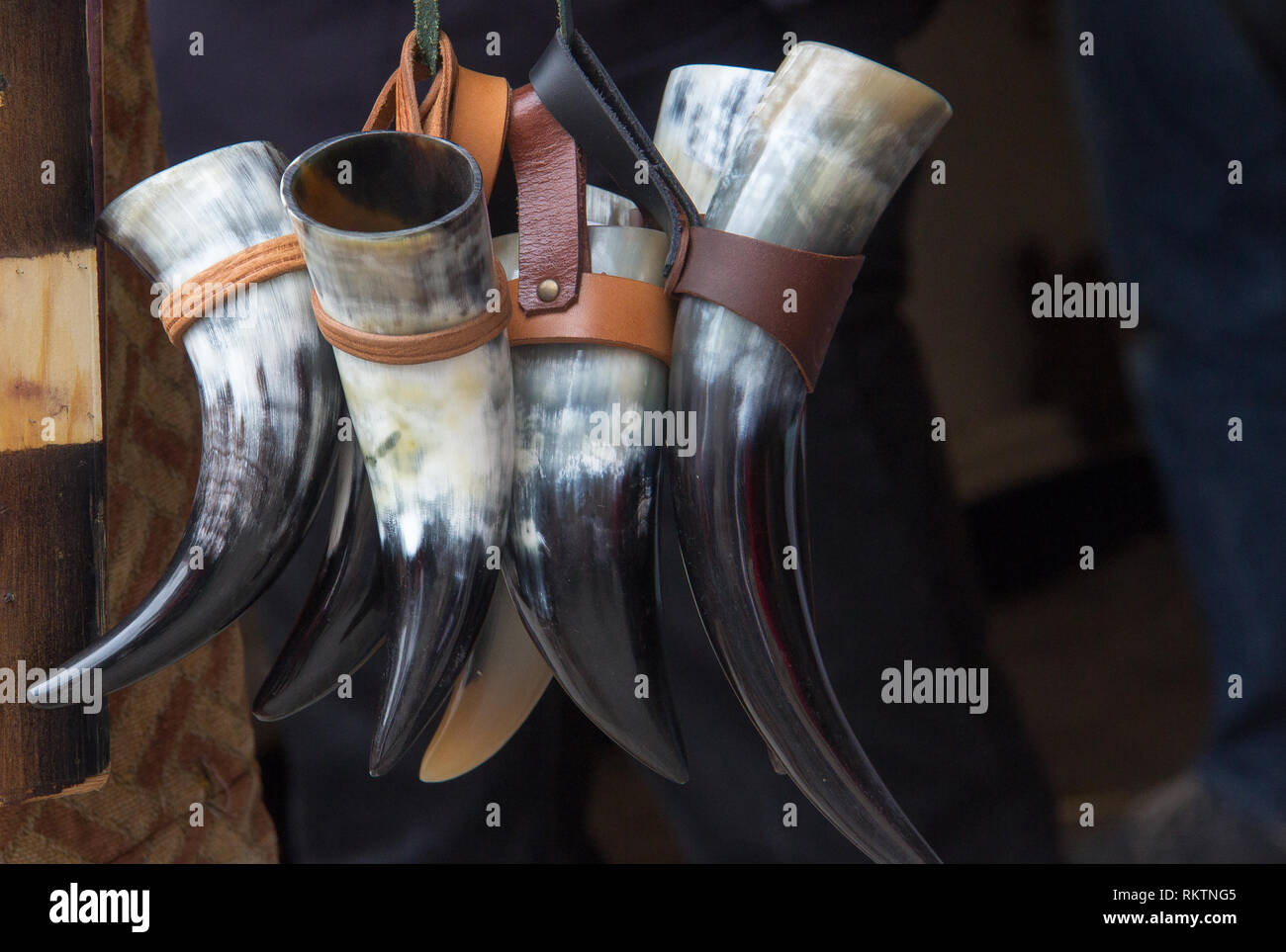 Cow Anatomy High Resolution Stock Photography and Images - Alamy
