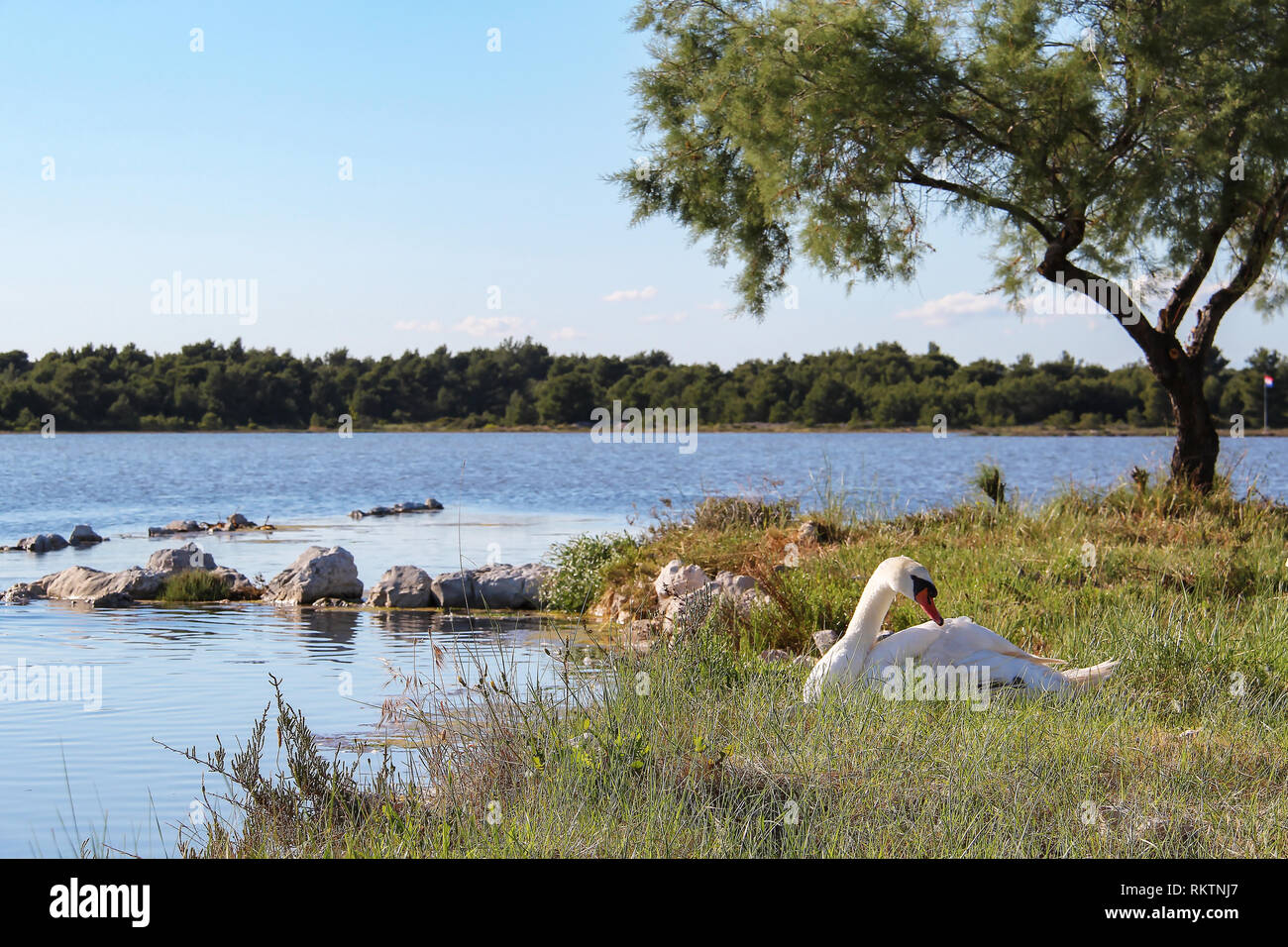 Zablace / The village on the Adriatic Sea near Sibenik (Croatia Stock ...