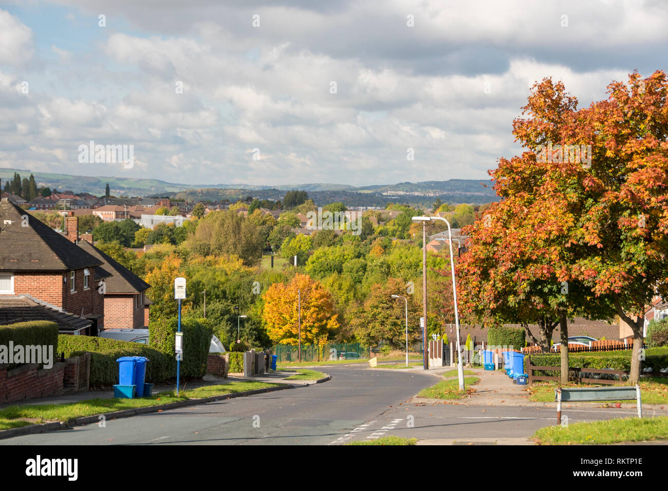 Sheffield street trees hi-res stock photography and images - Alamy