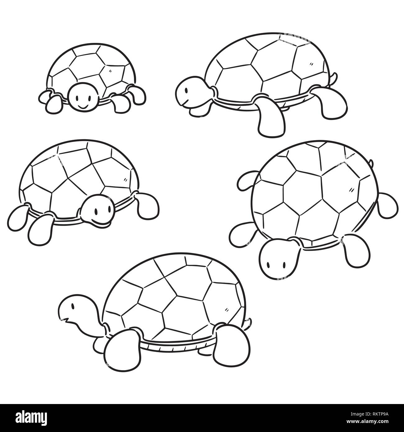 vector set of turtle Stock Vector Image & Art - Alamy