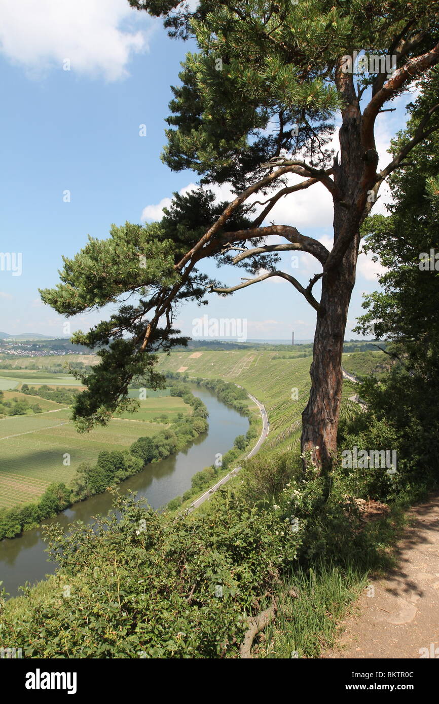 Neckar Meander / Loop of the river Neckar at Mundelsheim, Germany Stock ...