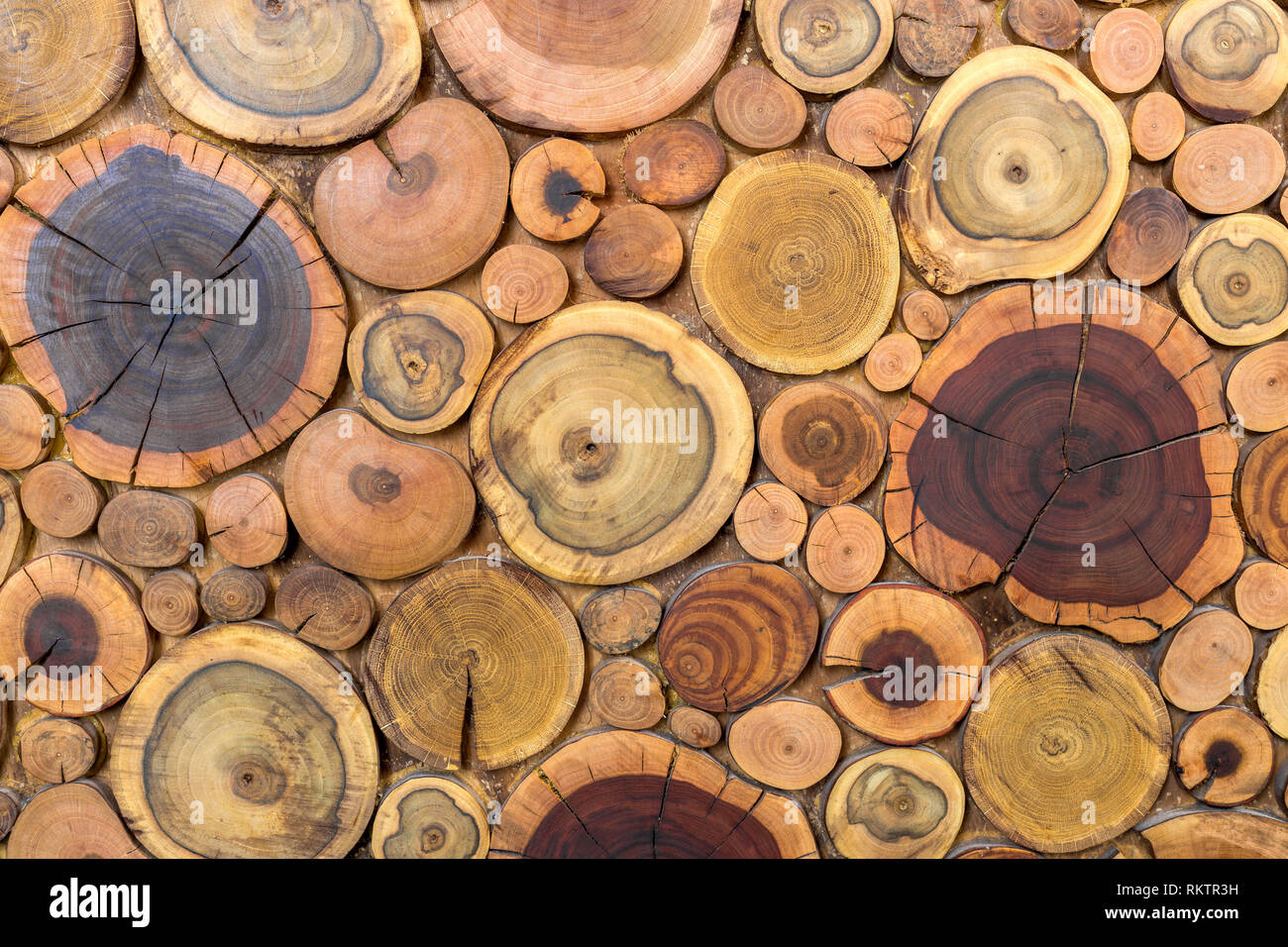 Round wooden unpainted solid natural ecological soft colored brown and ...