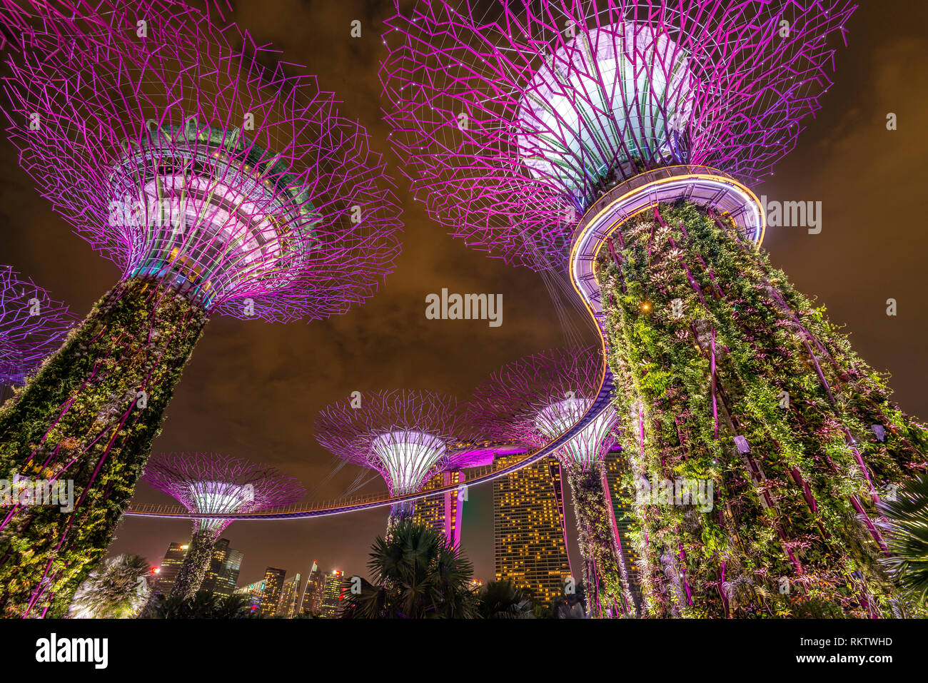 Illuminated Supertrees at Night, Gardens by the Bay, Singapore Stock ...