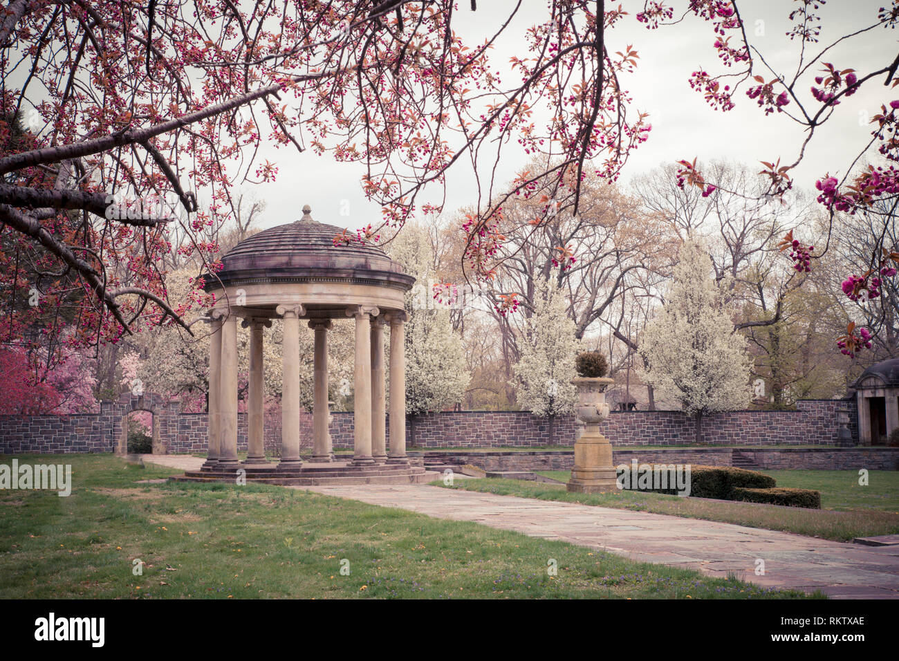 Beautiful spring garden scene with colorful blooming cherry trees and ...
