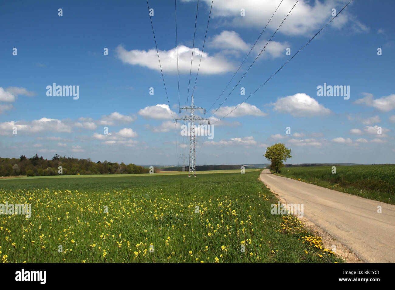 Spring Landscape with trees and road Stock Photo - Alamy