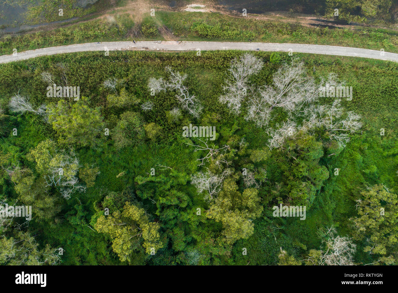 Aerial top view forest, Texture background of forest view from above ...