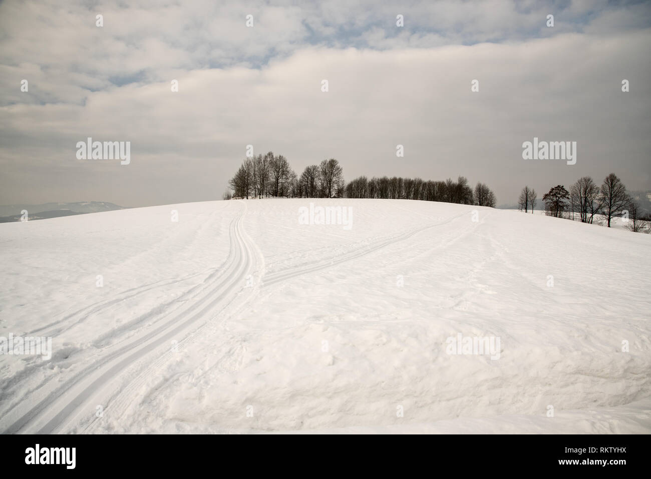 cross-country skiing track on mountain meadow with few trees and blue ...