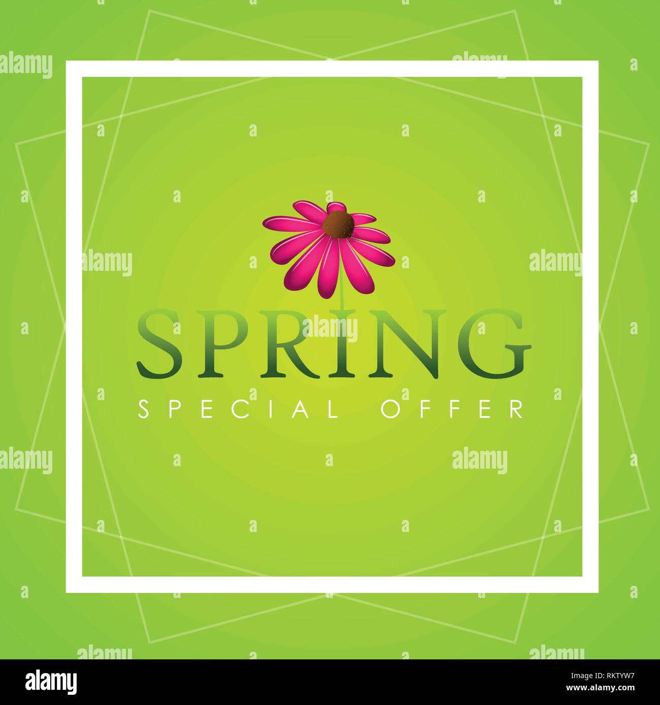 spring typography with pink blooming flower petal on a green background ...