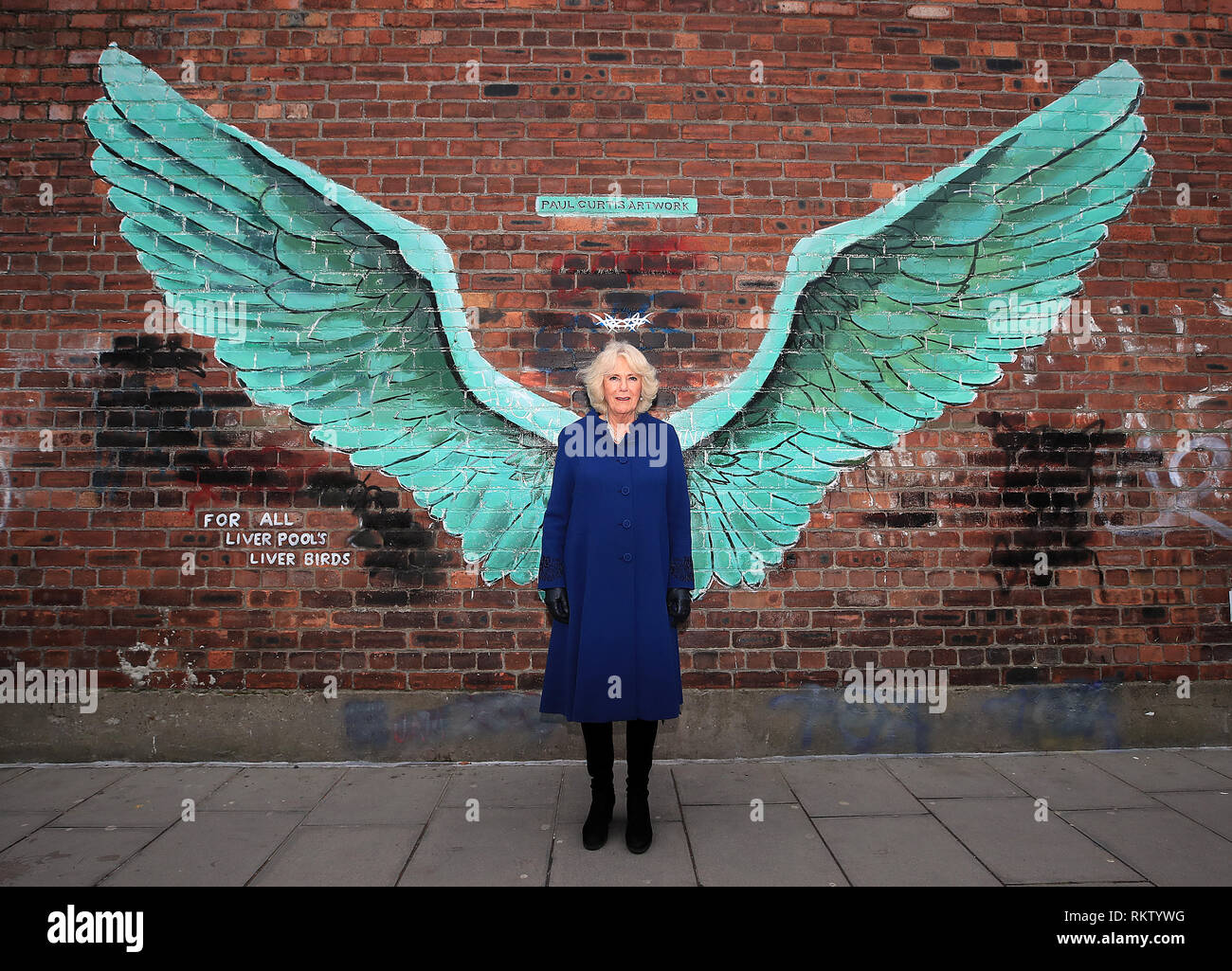 Liver birds baltic triangle hi-res stock photography and images - Alamy